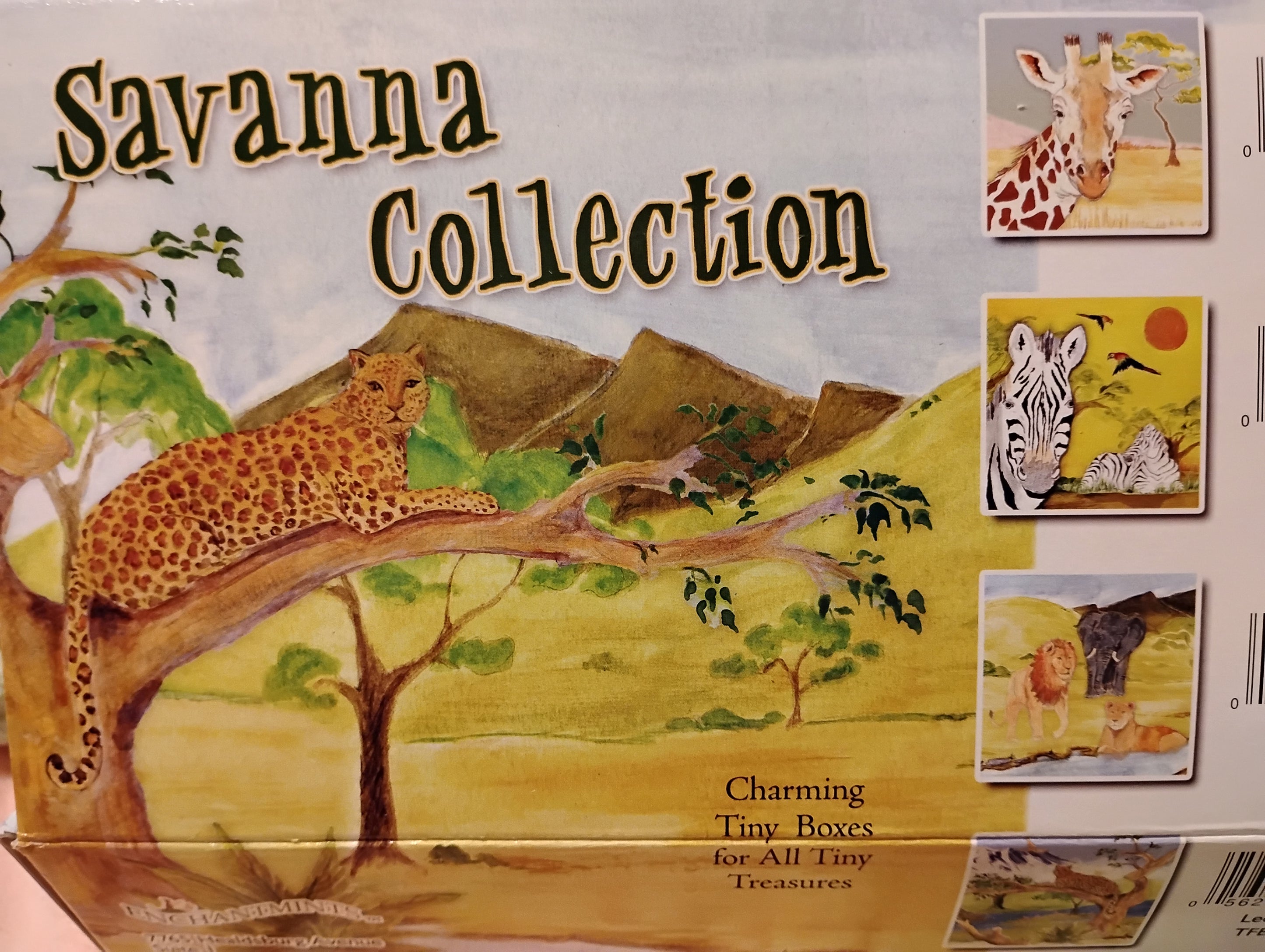 Tooth Fairy Boxes from Savana Collection Jewelry Boxes by Enchantmints ...